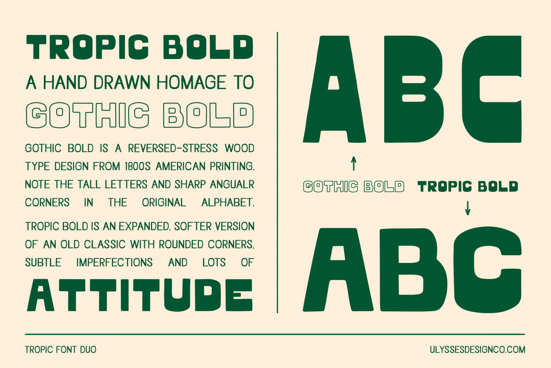 Tropic Bold Font | Unique Tropical-Inspired Typeface for Designers ...