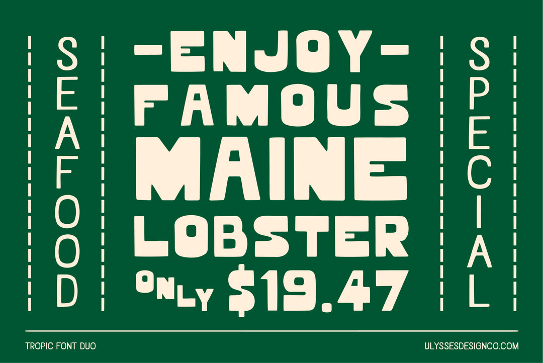 Tropic Bold Font | Unique Tropical-Inspired Typeface for Designers ...