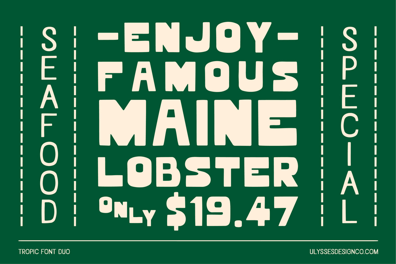 Tropic Bold Font | Unique Tropical-Inspired Typeface for Designers ...